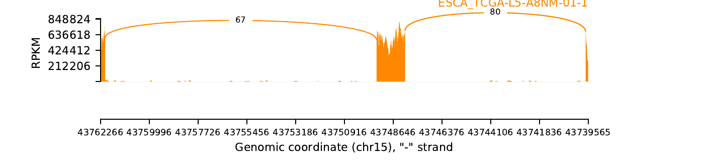 ExonSkipDB: functional annotation of exon skipping event in human - Search