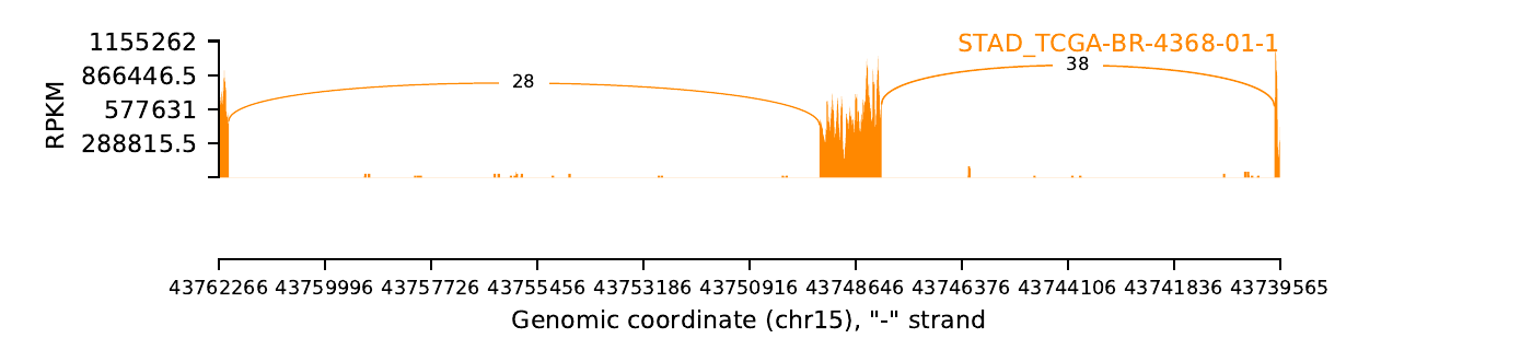 ExonSkipDB: functional annotation of exon skipping event in human - Search