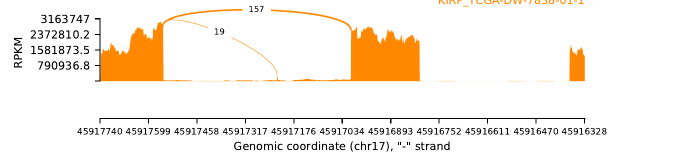 ExonSkipDB: functional annotation of exon skipping event in human - Search