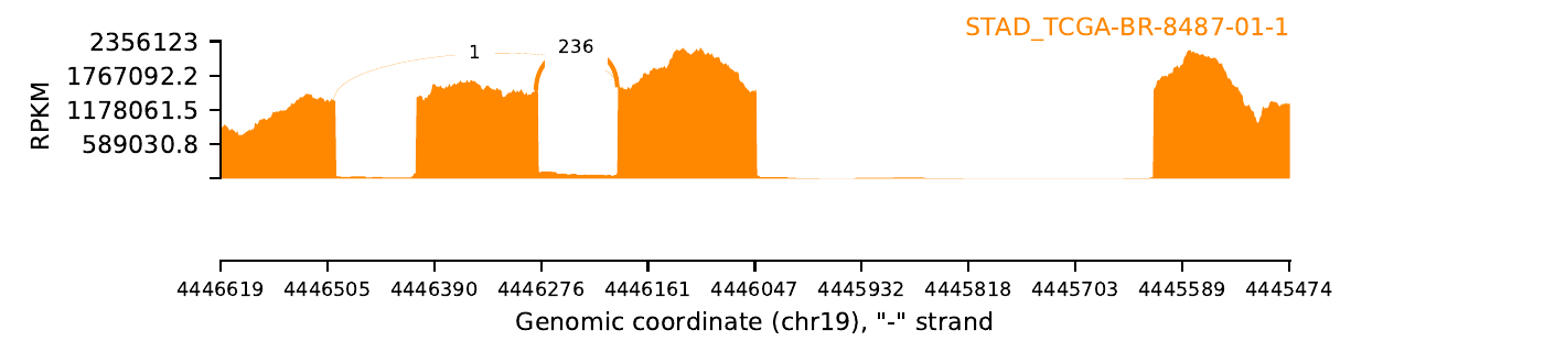 ExonSkipDB: functional annotation of exon skipping event in human - Search