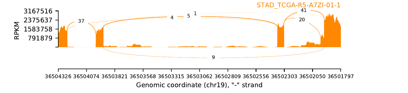 ExonSkipDB: functional annotation of exon skipping event in human - Search