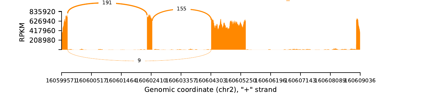 ExonSkipDB: functional annotation of exon skipping event in human - Search