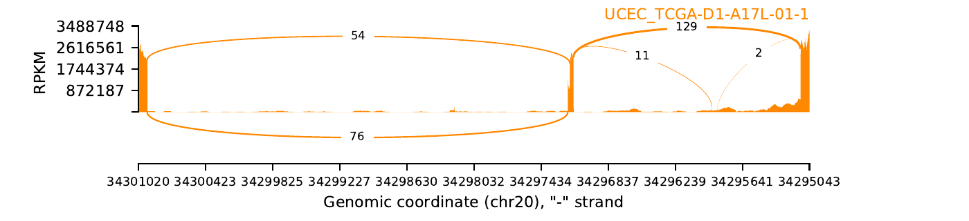 ExonSkipDB: functional annotation of exon skipping event in human - Search