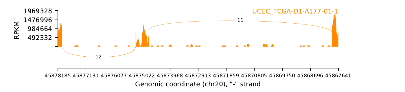 ExonSkipDB: functional annotation of exon skipping event in human - Search