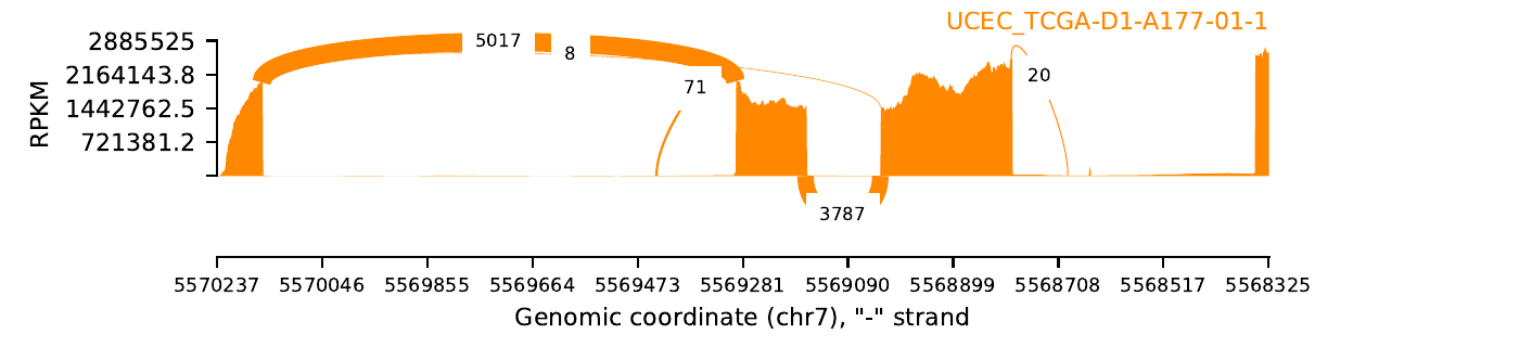 ExonSkipDB: functional annotation of exon skipping event in human - Search