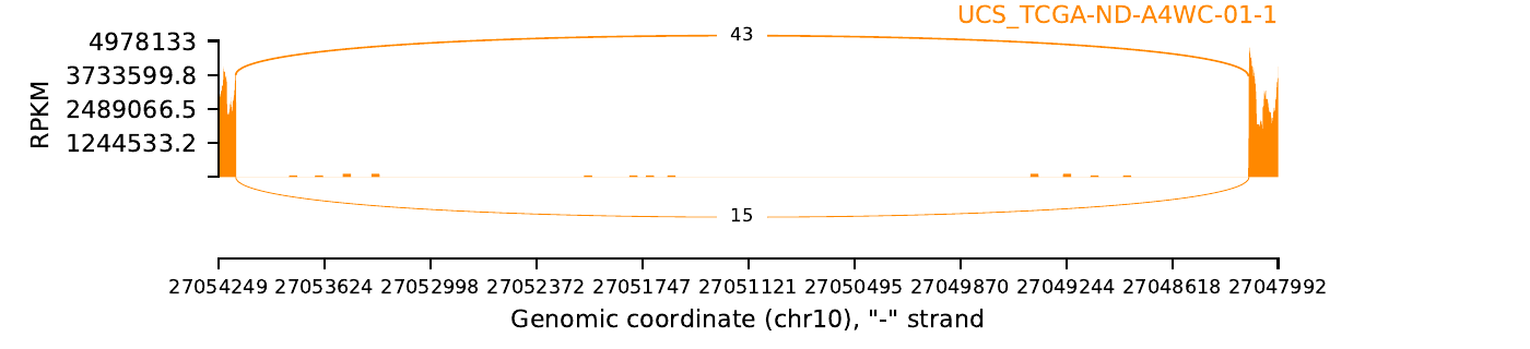 ExonSkipDB: functional annotation of exon skipping event in human - Search