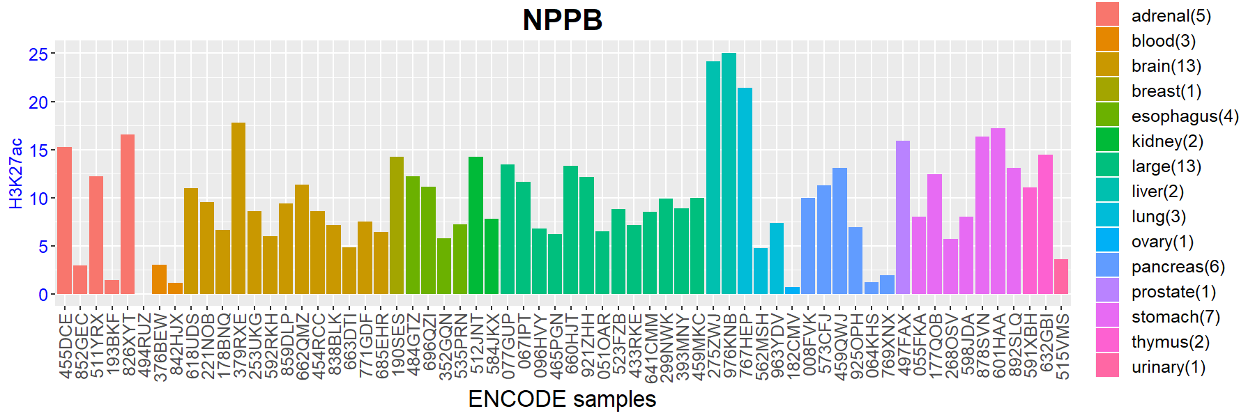 miRactDB: miRNA-associated gene activation DataBase - Search
